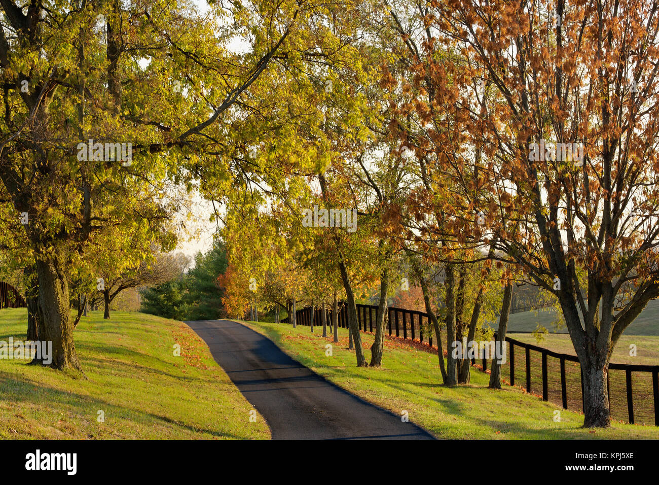 Rural road through Bluegrass region of Kentucky in autumn season near ...