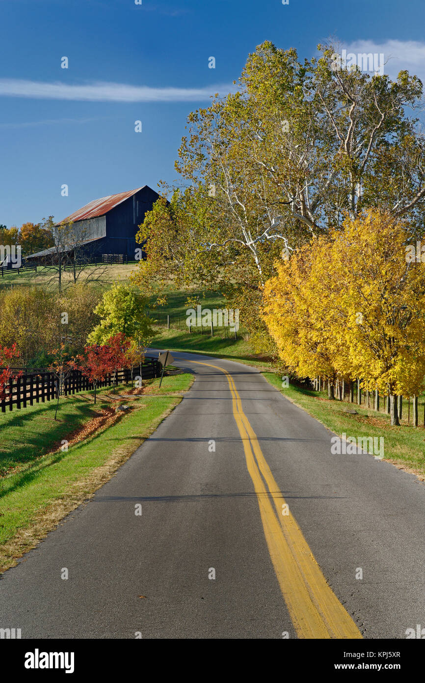 Rural road through Bluegrass region of Kentucky in autumn season near ...