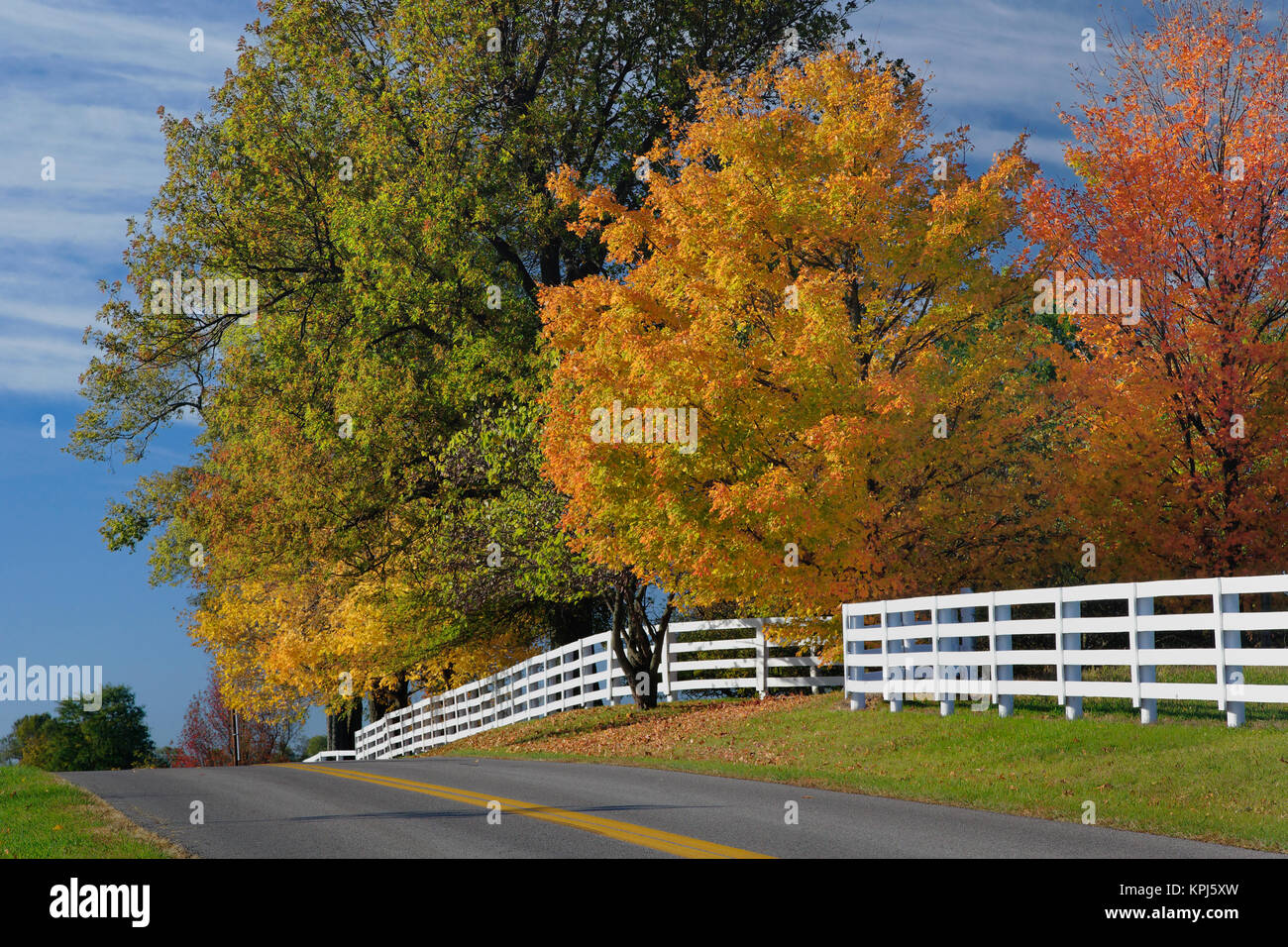 Rural road through Bluegrass region of Kentucky in autumn season near ...