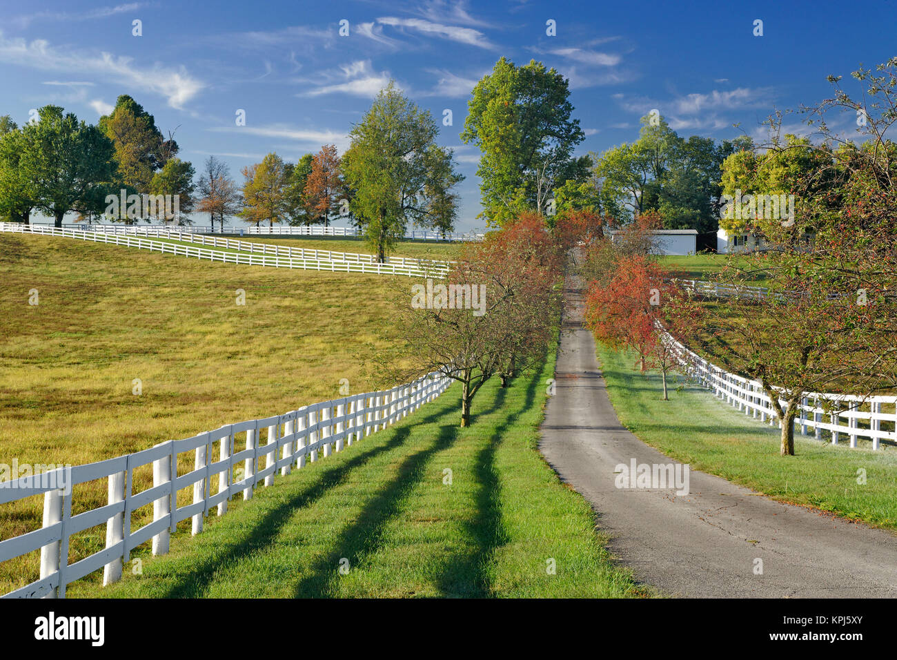 Driveway, Manchester Horse farm, Lexington, Kentucky Stock Photo - Alamy