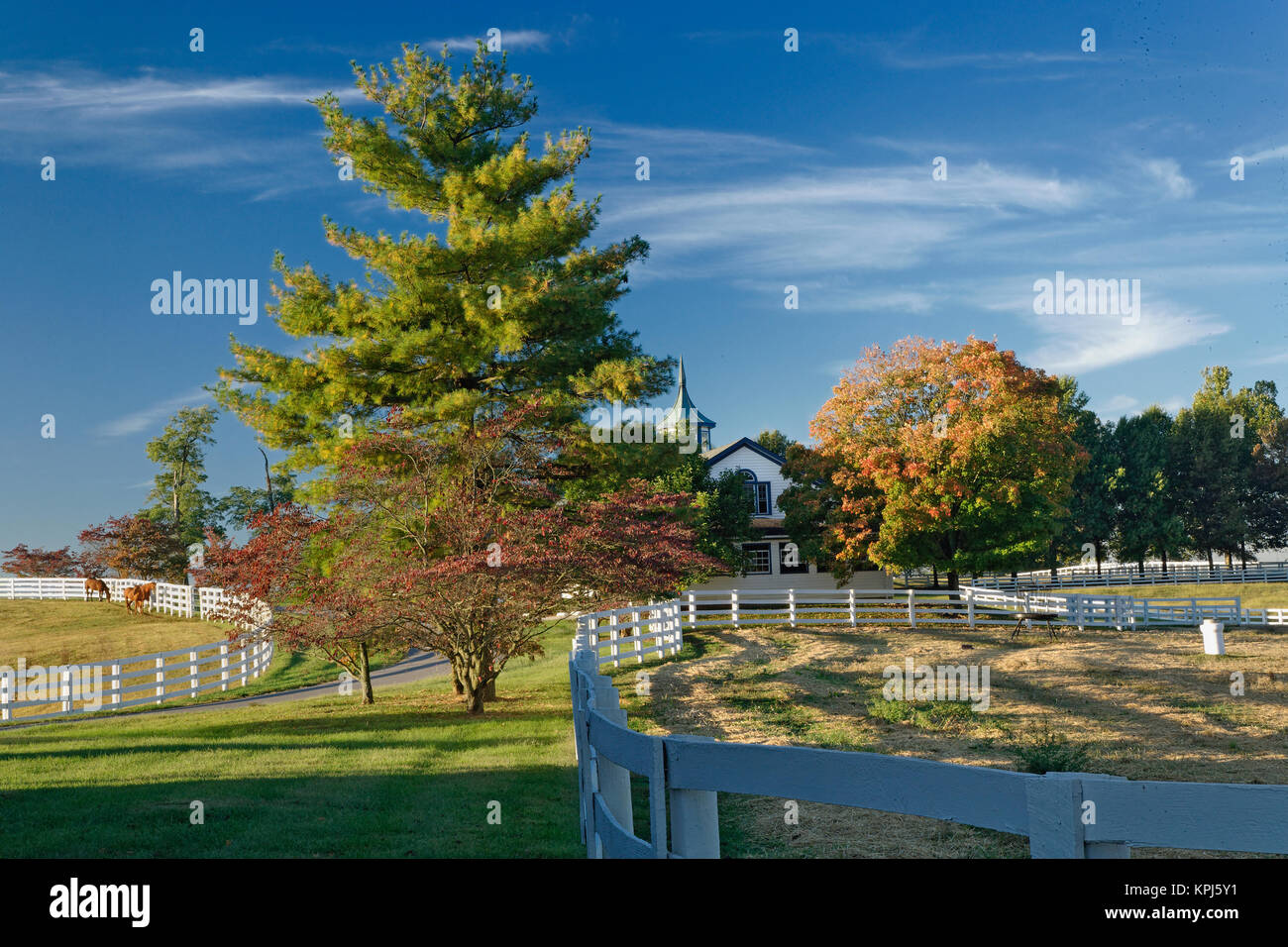 Manchester Horse farm in autumn, Lexington, Kentucky Stock Photo - Alamy