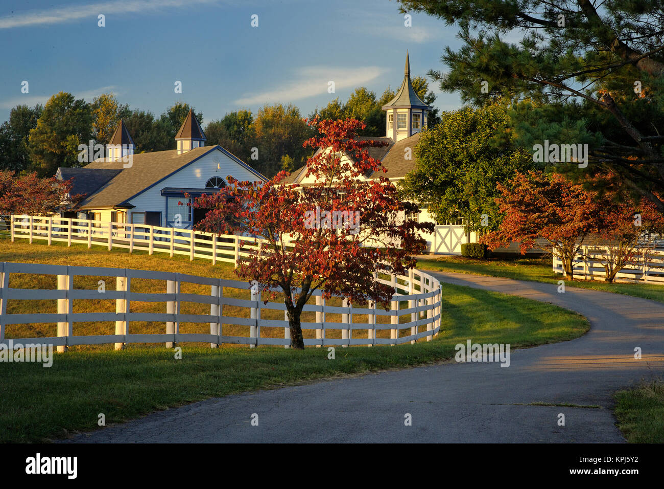 Manchester Horse farm in autumn, Lexington, Kentucky Stock Photo - Alamy