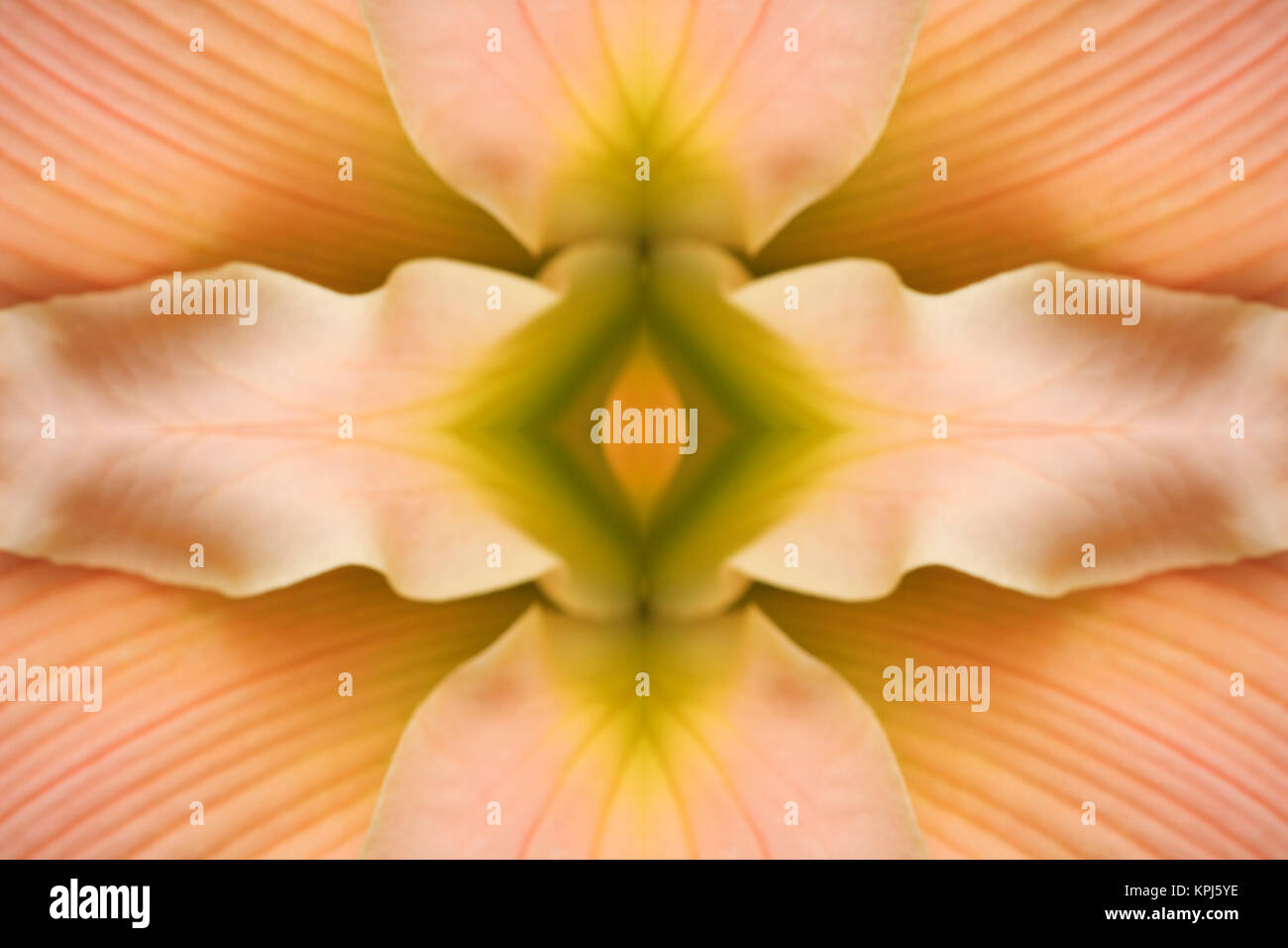 Flipped flower hi-res stock photography and images - Alamy