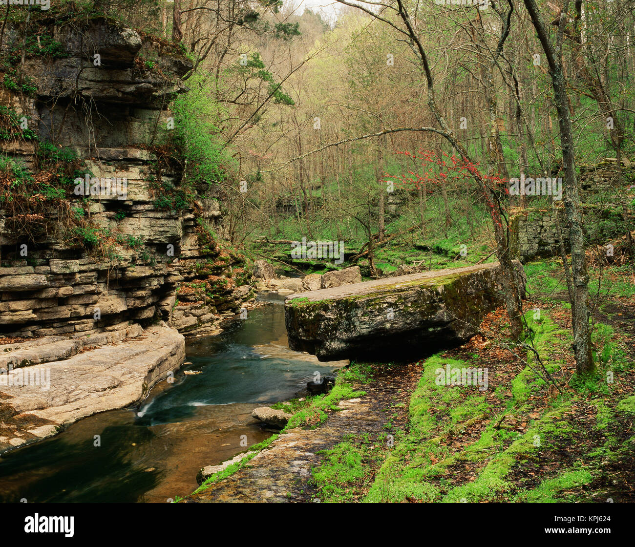 USA, Kentucky, Lexington, Raven Run Nature Sanctuary (Large format ...