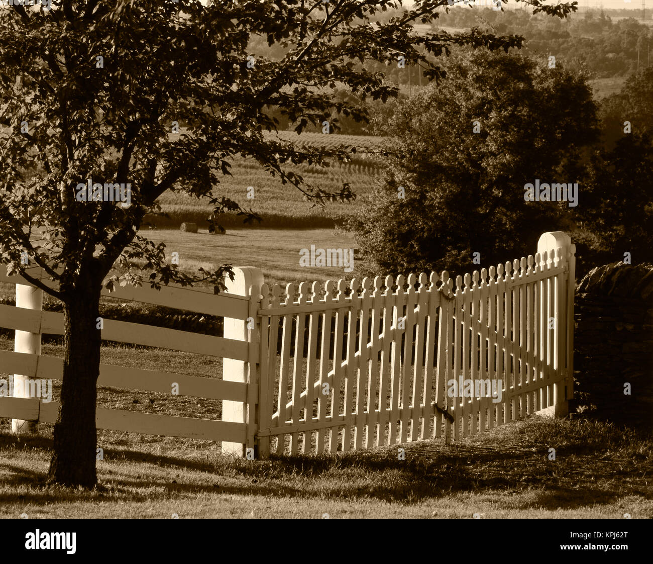 USA, Kentucky, Pleasant Hill, White Shaker fence (Large format sizes ...