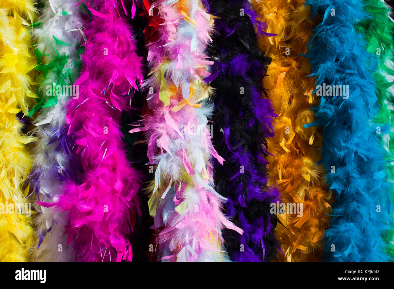 USA, Louisiana, New Orleans. French Quarter, French Market, feather ...