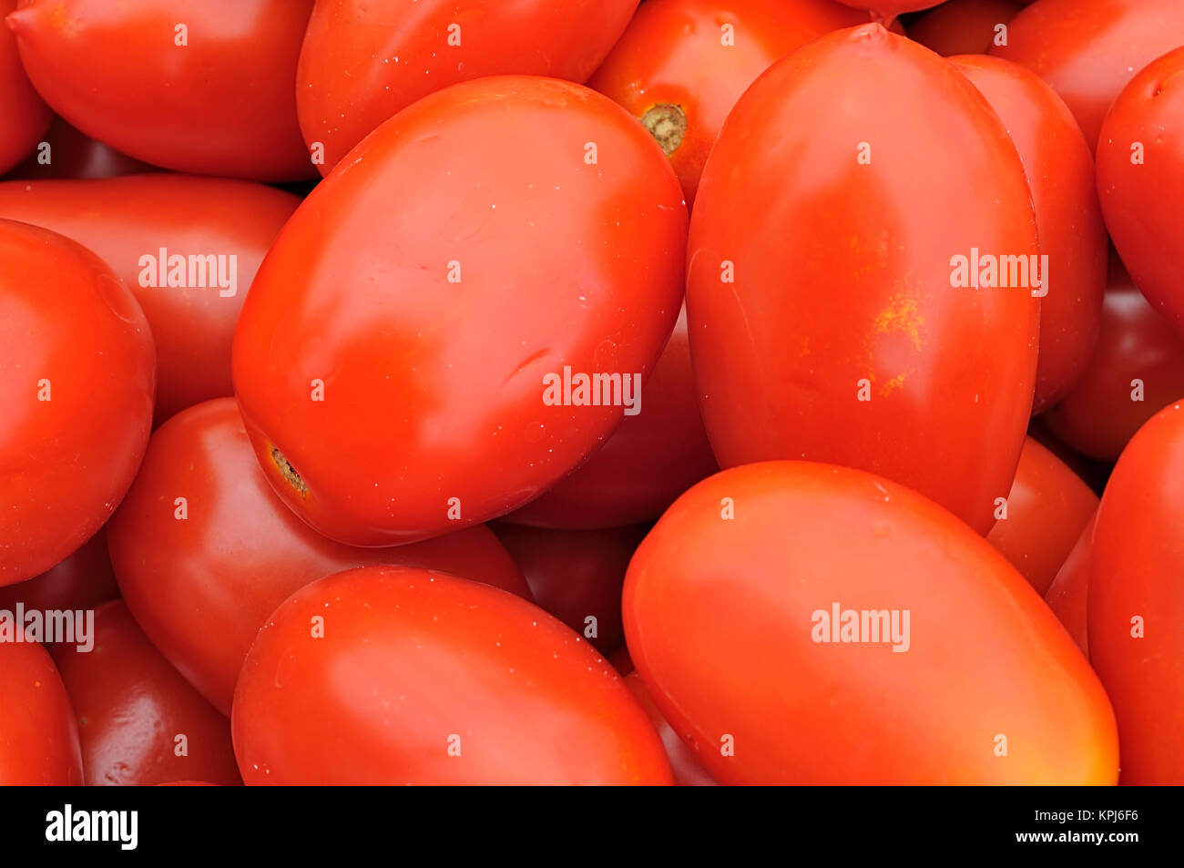background tomatoes Stock Photo - Alamy
