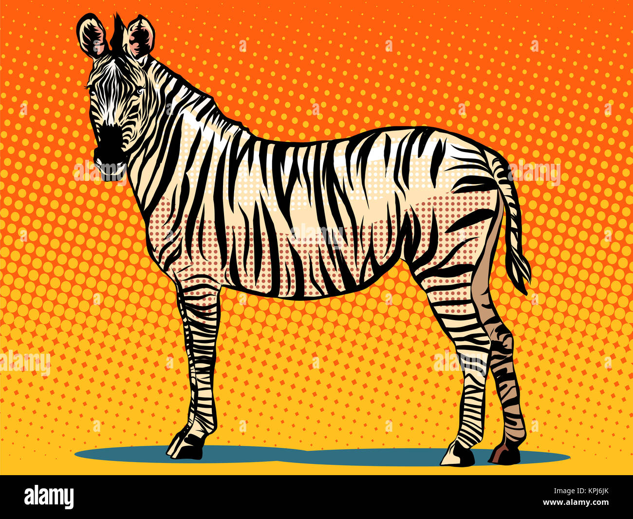 African Zebra animal Stock Photo - Alamy