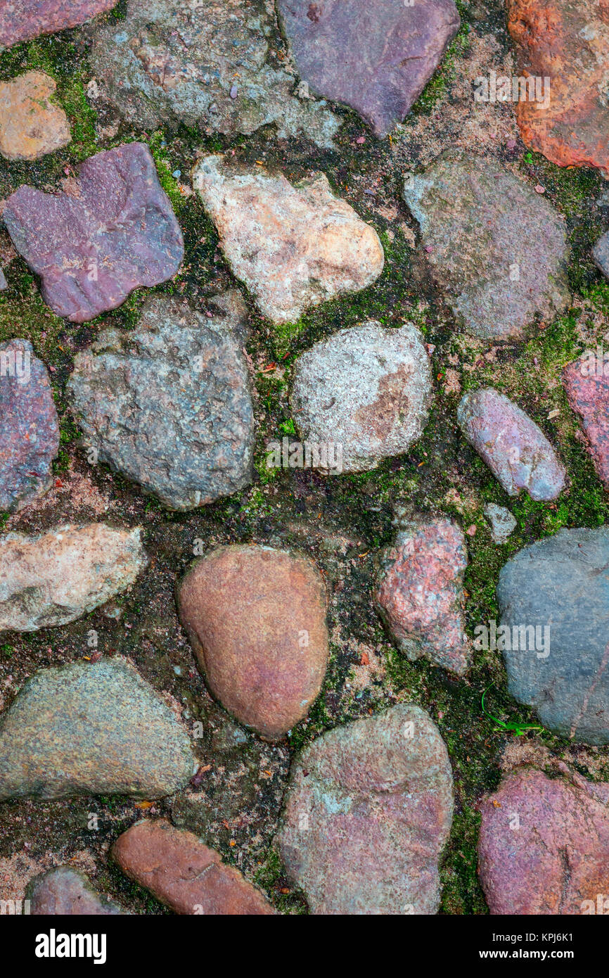 Old forest trail paved with stone Stock Photo - Alamy