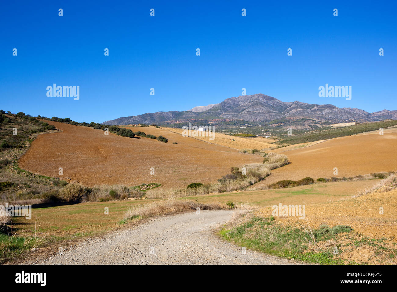 Undulating road to a mountain hi-res stock photography and images - Alamy