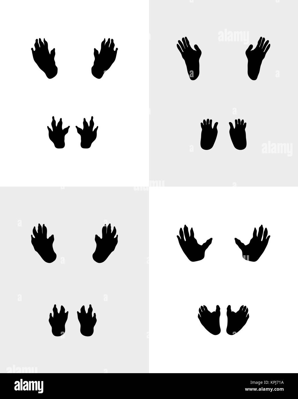 Monkey footprint Black and White Stock Photos & Images - Alamy