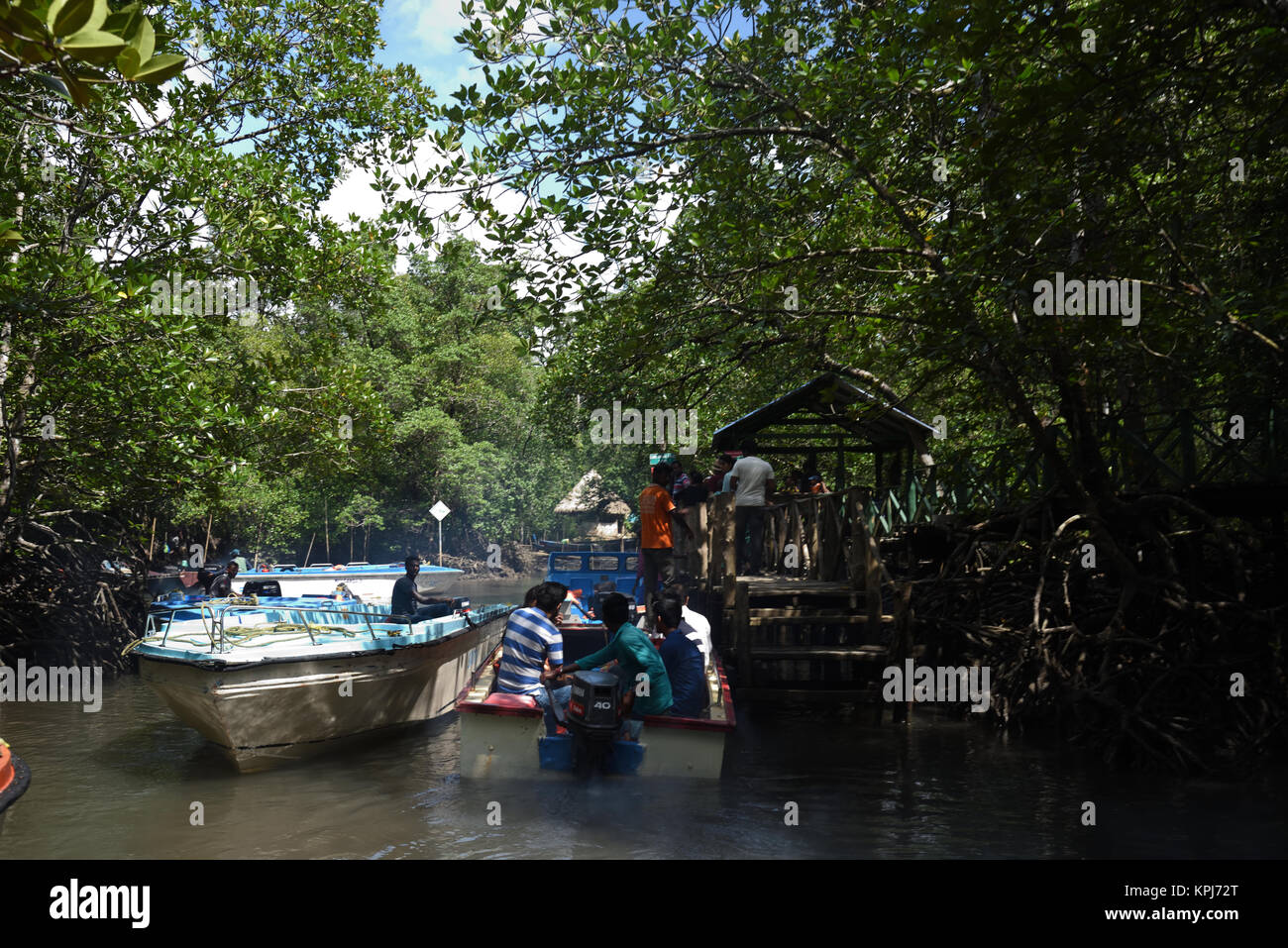 Wooden bridge on Baratang island, Andaman Islands, India Stock Photo ...