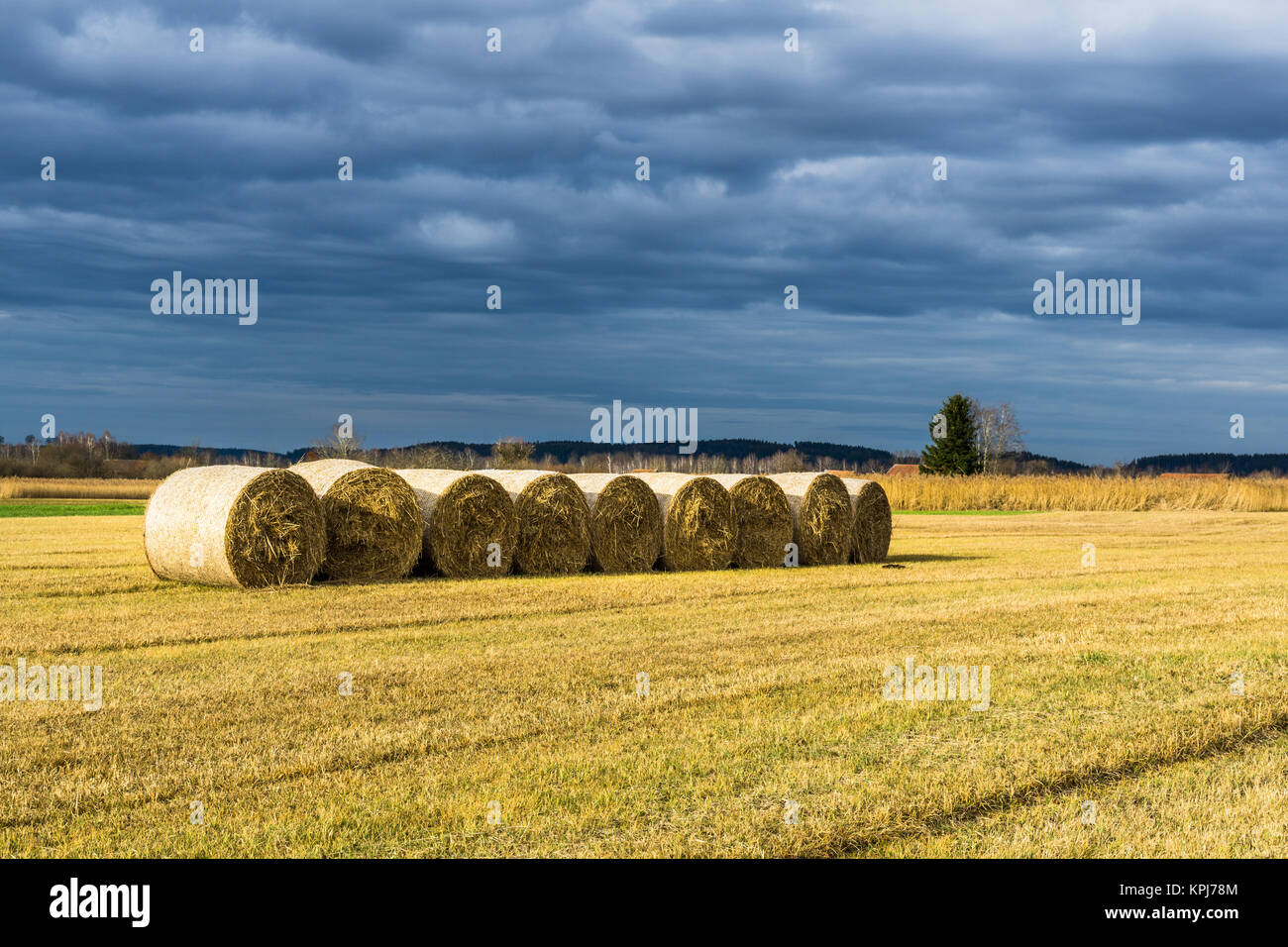 Bales goal hi-res stock photography and images - Alamy