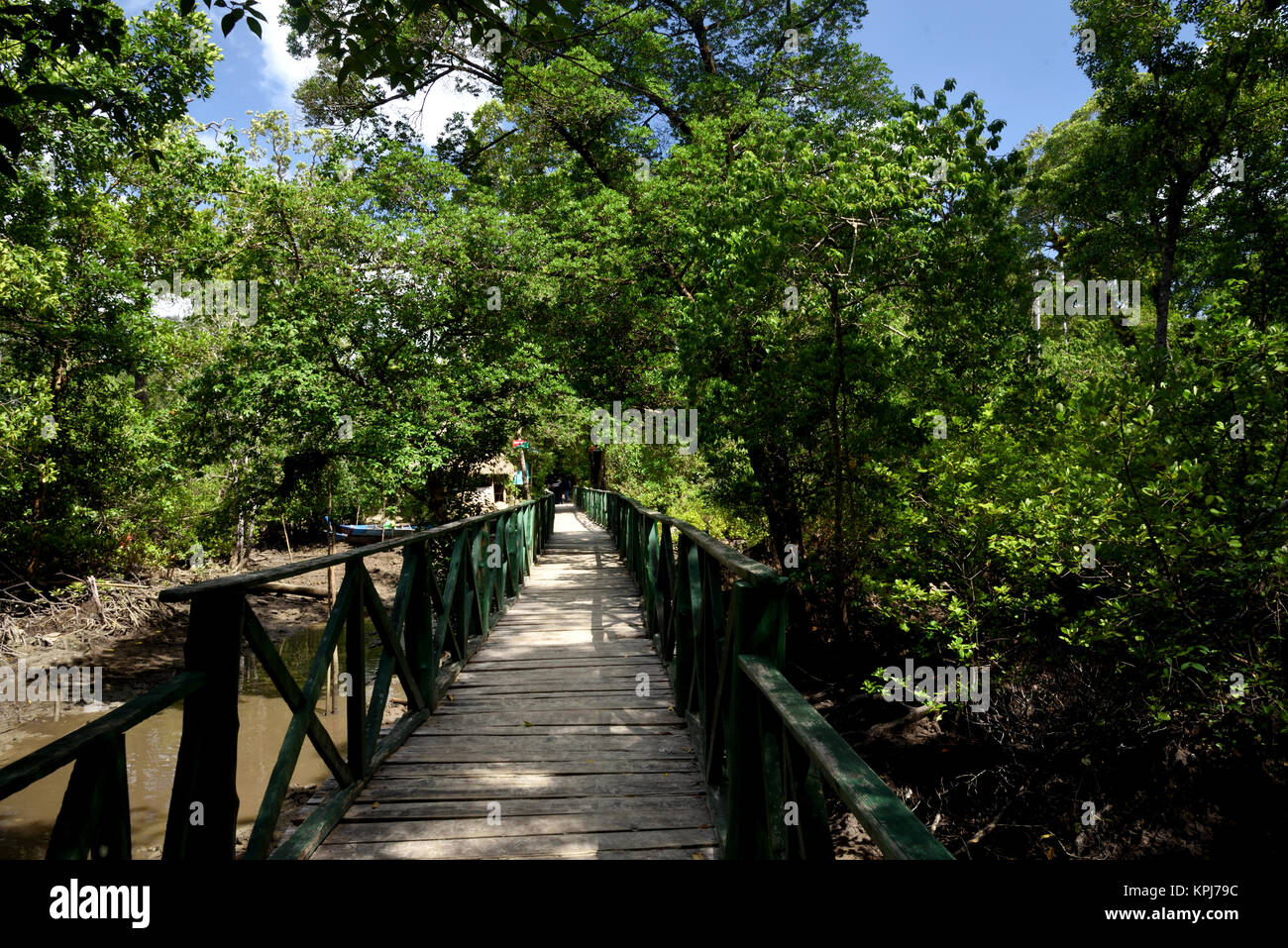 Wooden bridge on Baratang island, Andaman Islands, India Stock Photo ...