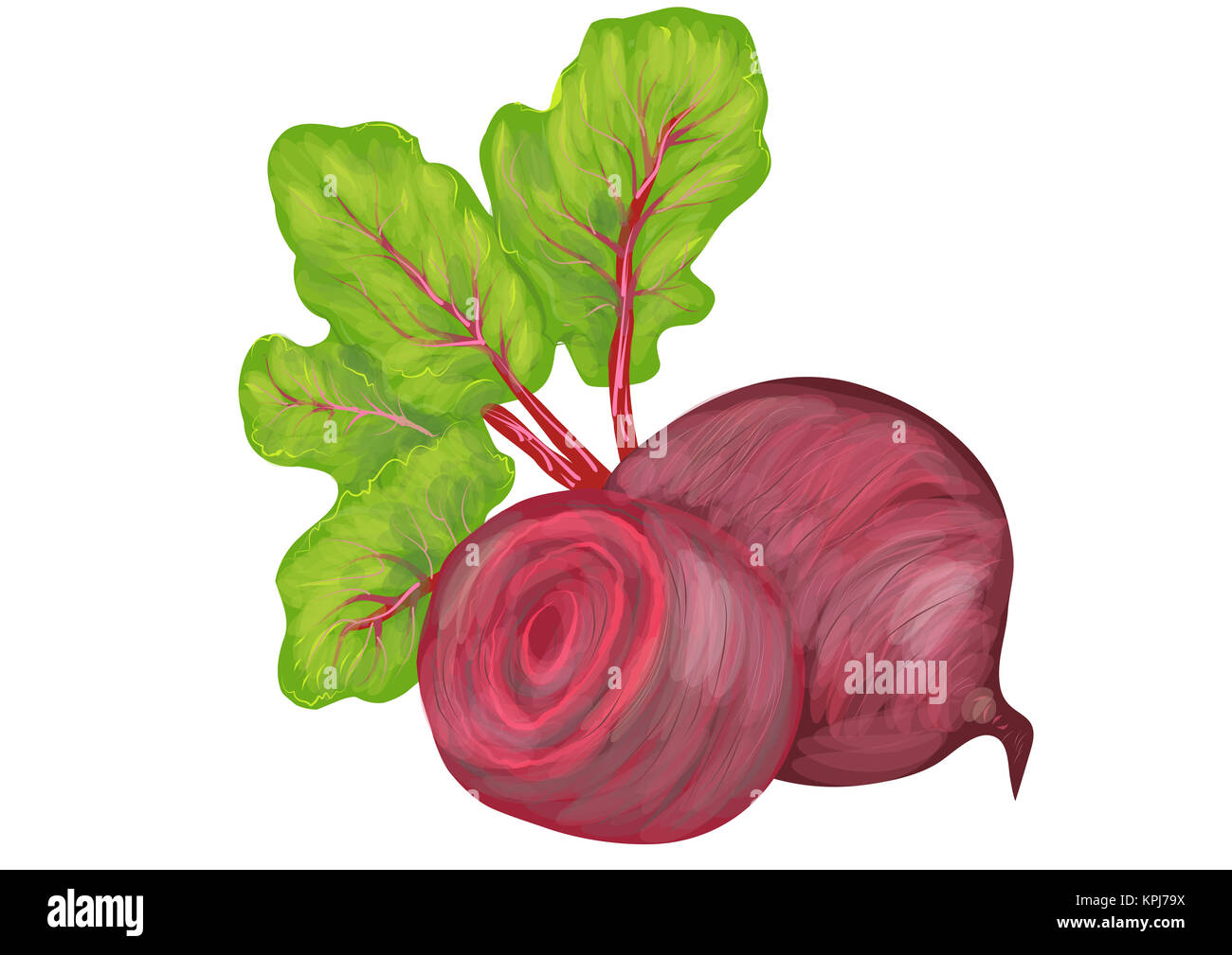 beetroot on white background Stock Photo - Alamy