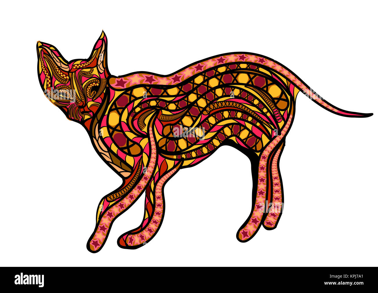 ethnic ceylon cat Stock Photo - Alamy