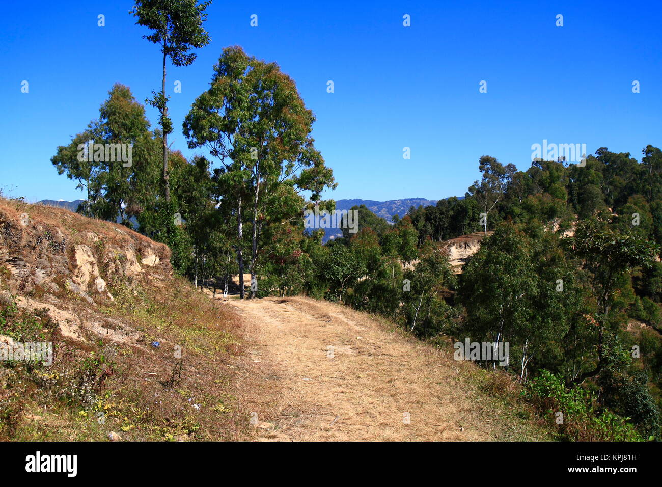 Path in the Himalayan Mountains, Nepal Stock Photo - Alamy