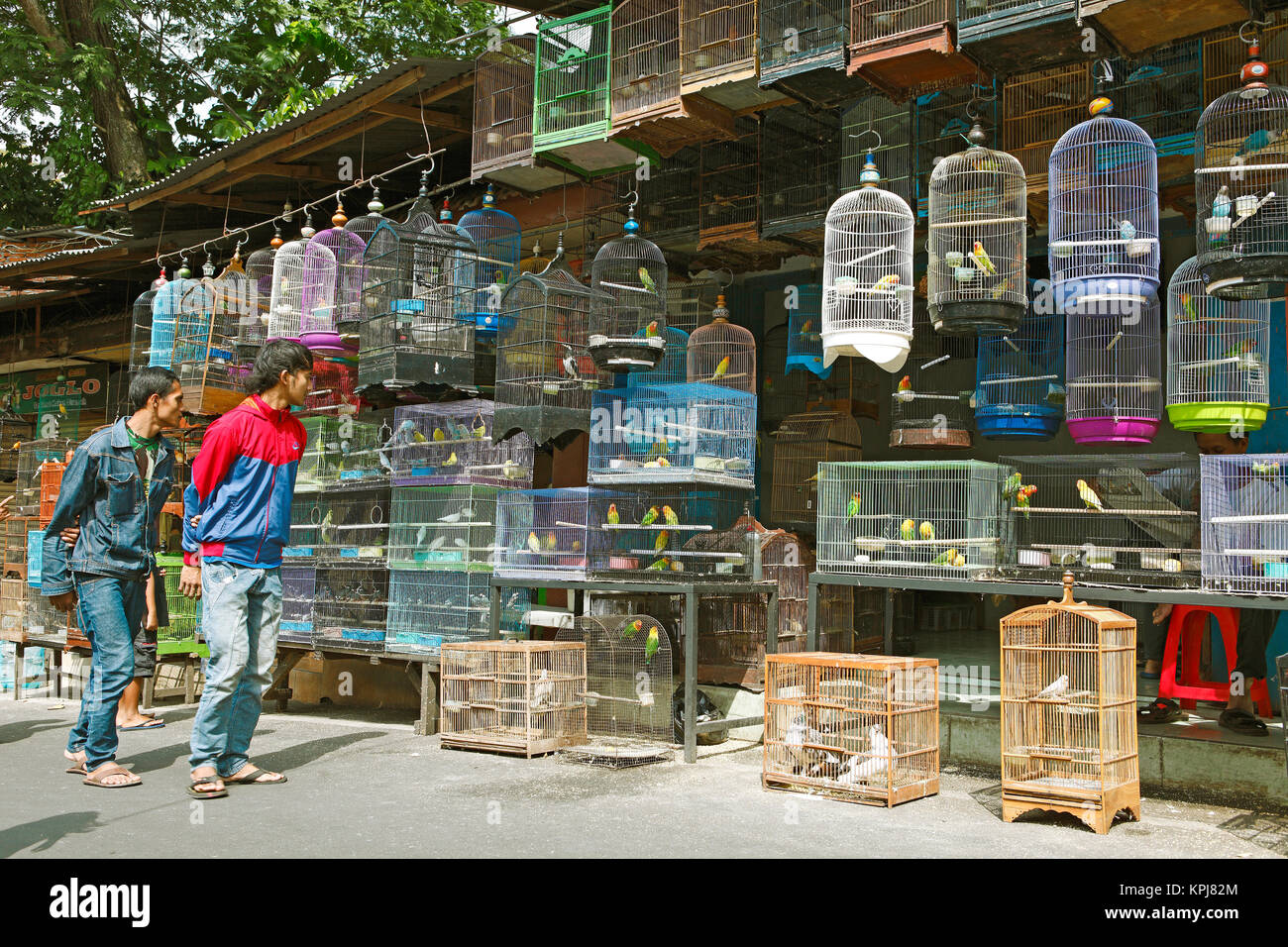 Senggol hi-res stock photography and images - Alamy