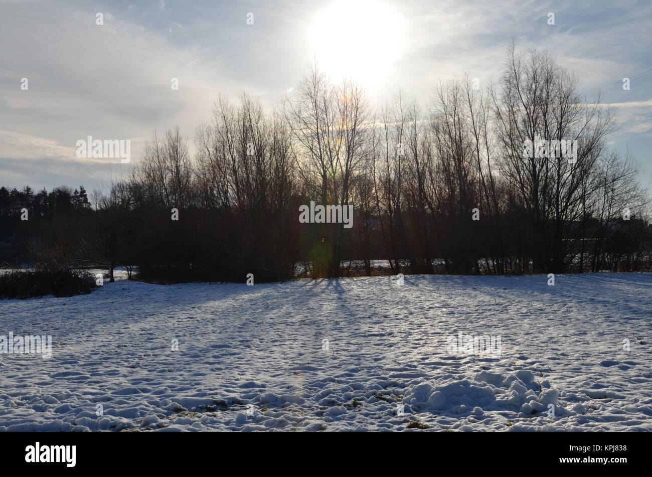 Wintry sun back-lighting trees in snow covered landscape Stock Photo ...