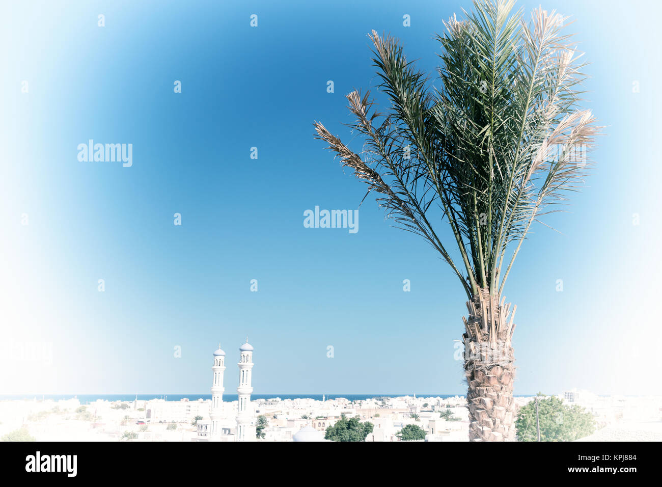 in muscat oman the cityscape and the palm near ocean view Stock Photo ...