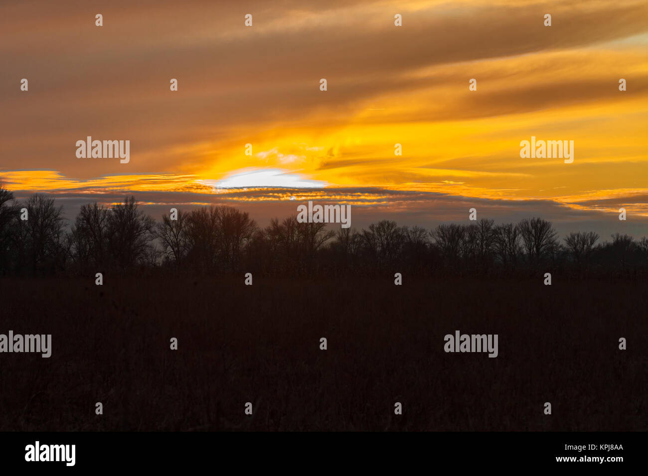 Delightful sunset over the forest. Orange sky and clouds Stock Photo ...