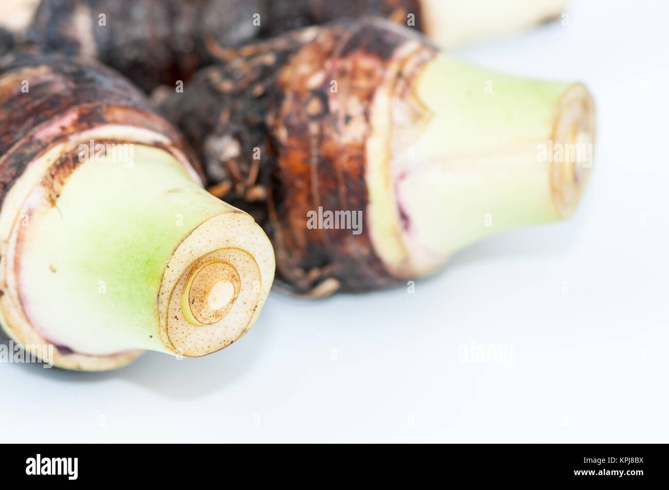 closeup of taro on white background Stock Photo - Alamy