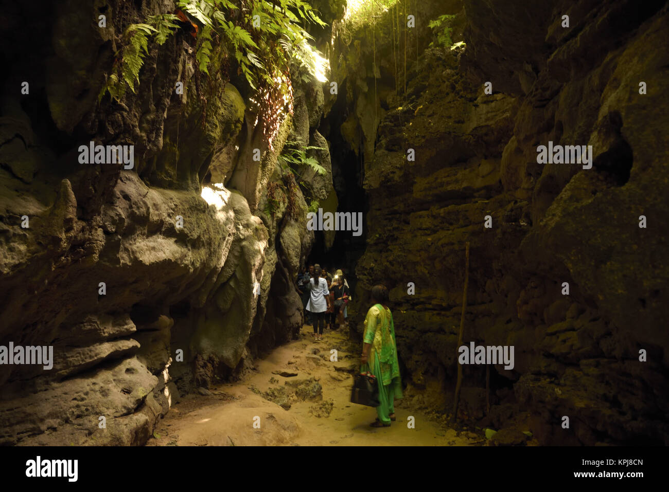 Way through Limestone caves, Baratang island, Andaman Islands, India ...