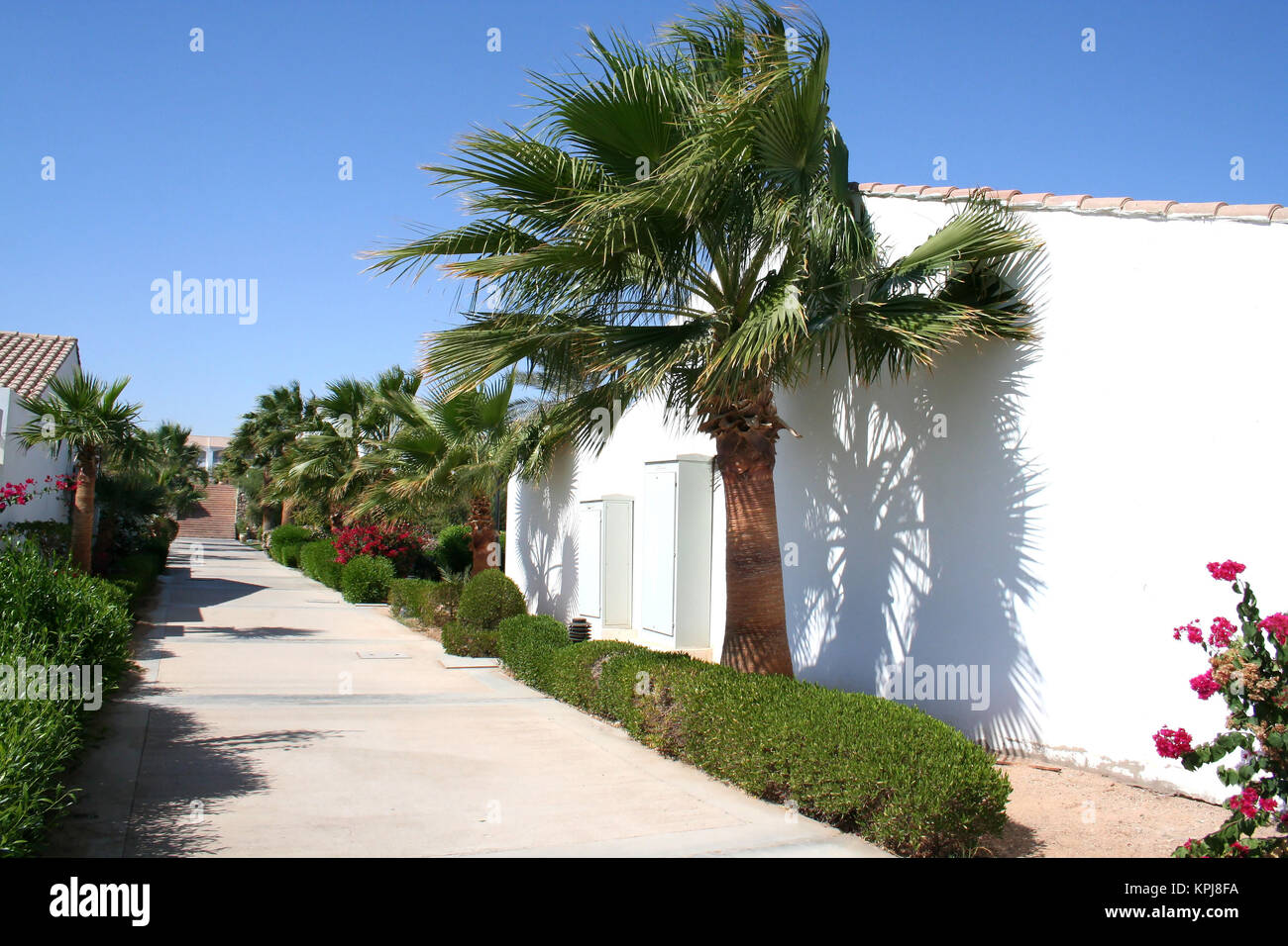 Path in resort hotel Stock Photo - Alamy