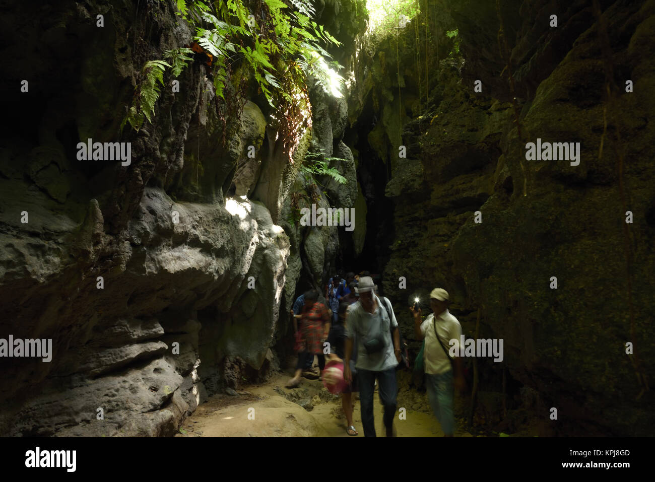 Way through Limestone caves, Baratang island, Andaman Islands, India ...