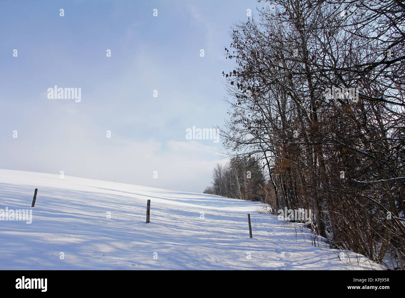 snowy meadows and fields. meadows and fields in winter Stock Photo - Alamy