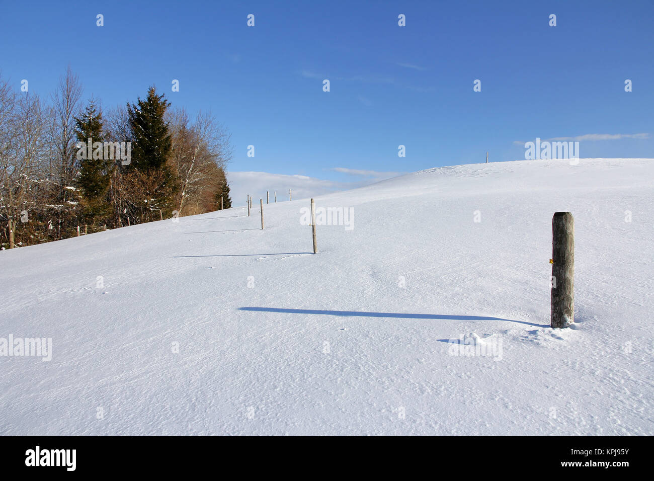 a snowy pasture in winter. fencepost on a snowy field Stock Photo - Alamy