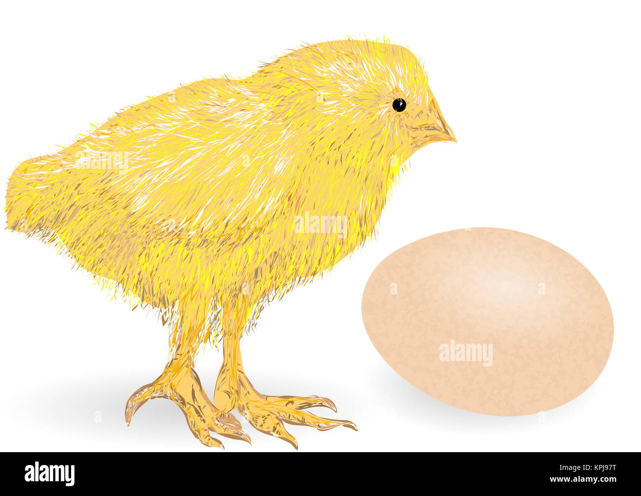 Chicken animai hi-res stock photography and images - Alamy