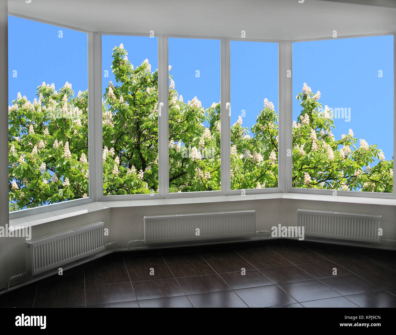 modern window overlooking the blooming chestnut tree Stock Photo - Alamy