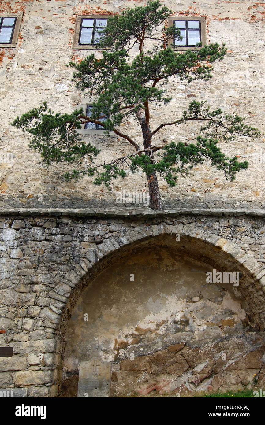 Famous Gothic castle Buchlov Stock Photo - Alamy