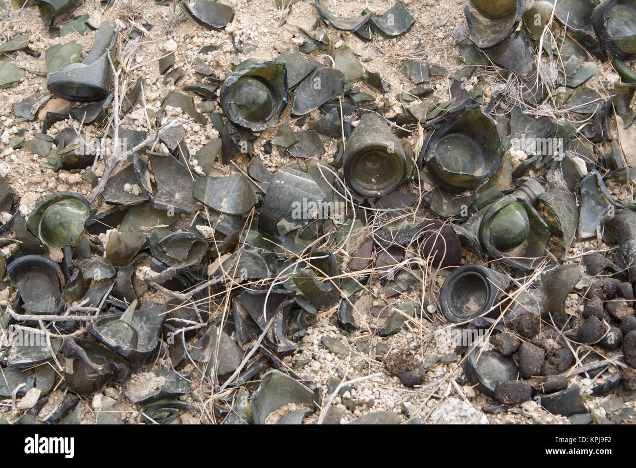 broken glass, remains of a camp of the former German occupation in ...