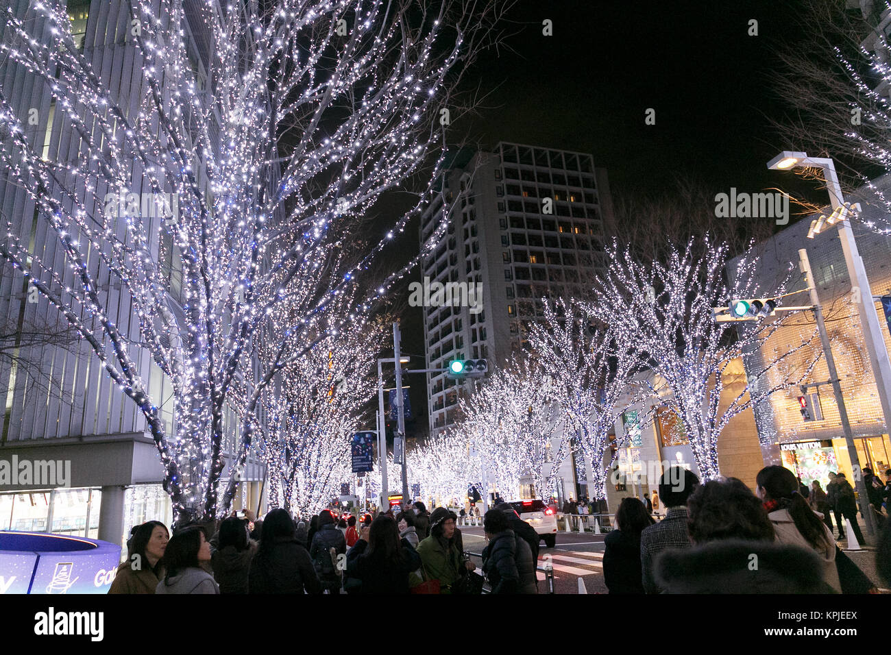 Tokyo, Japan. 15th December, 2017. Trees are decorated with coloful LED ...