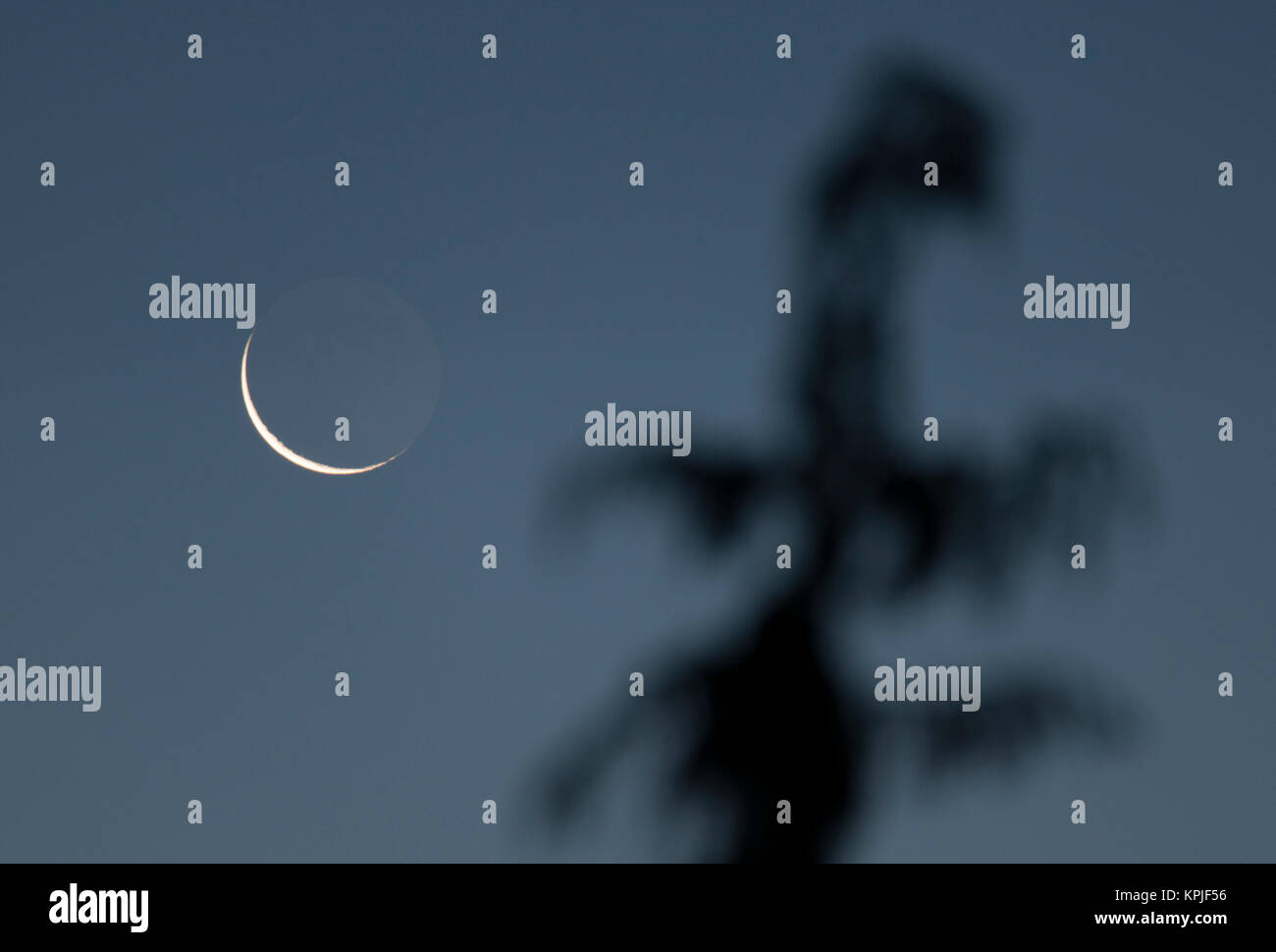 Very fine waning crescent phase hi-res stock photography and images - Alamy