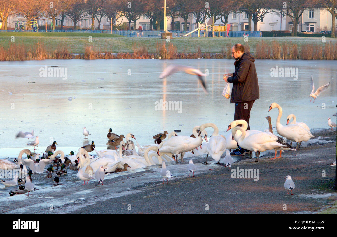 Freezing birds hi-res stock photography and images - Alamy