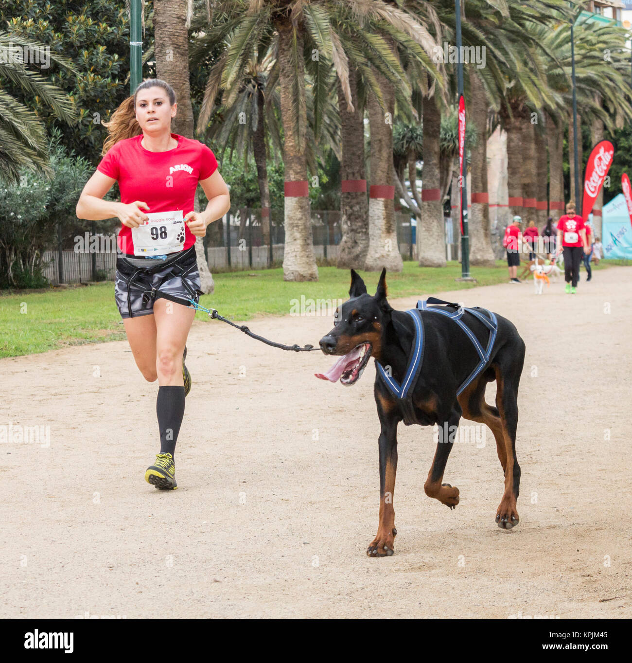 How Long Can Doberman Run