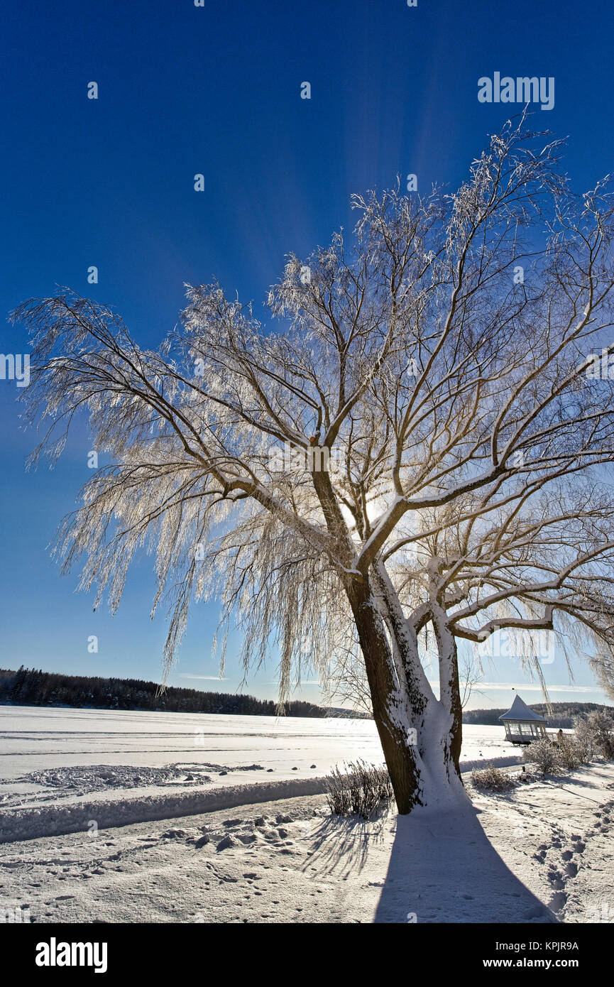 Cold and clear winter morning Stock Photo - Alamy