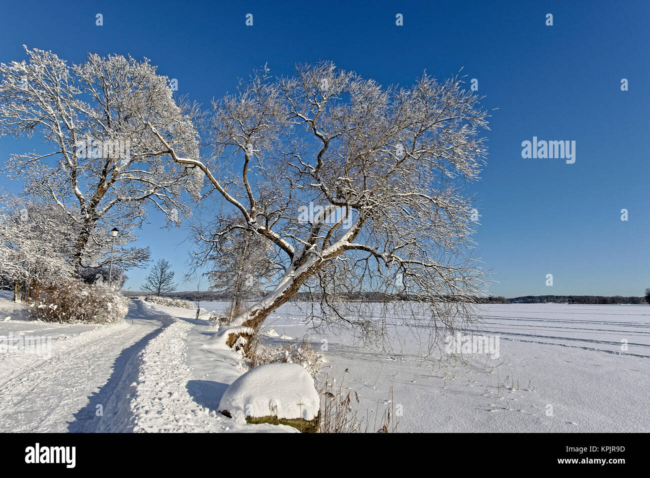 Cold and clear winter morning Stock Photo - Alamy