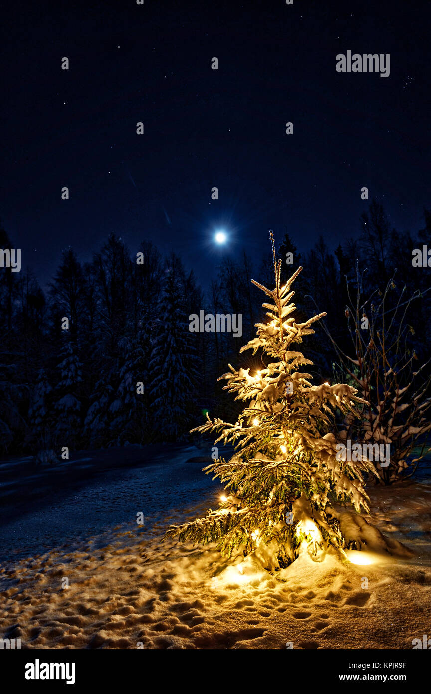 Illuminated christmas tree and a full moon Stock Photo - Alamy