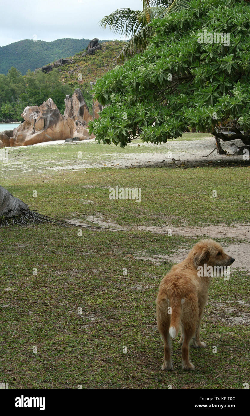 Beaches to breed hi-res stock photography and images - Alamy