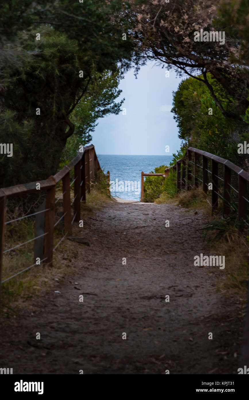 Hidden pathway leading to sea. Secluded forest path surrounded by trees ...