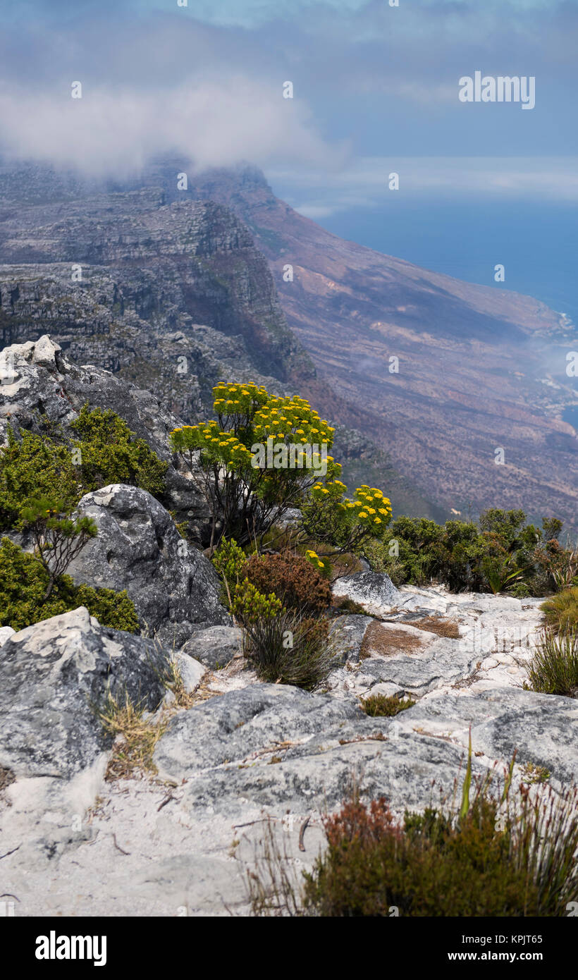 Dramatic view table mountain hi-res stock photography and images - Alamy