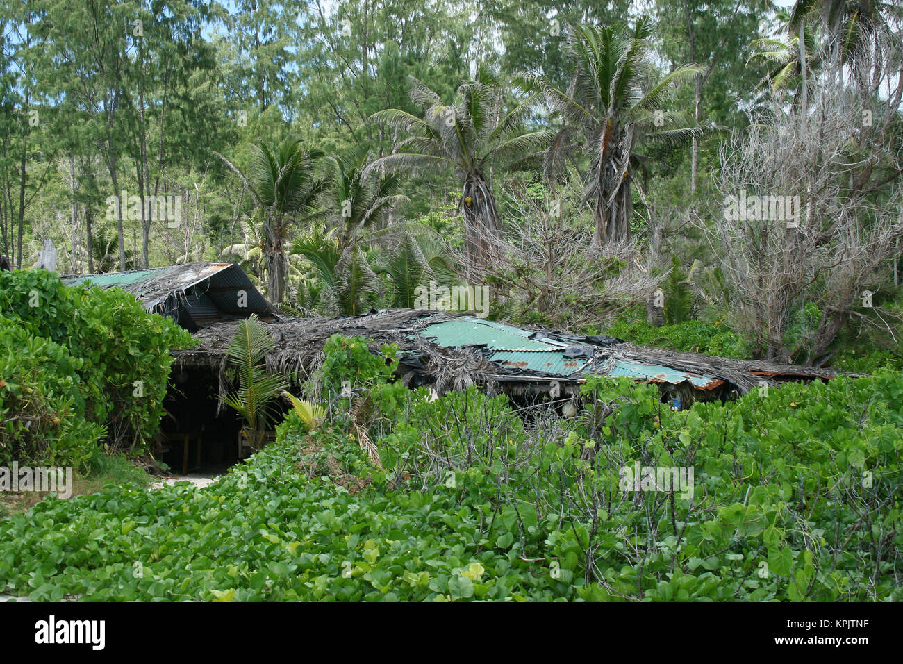 Old shack in jungle hi-res stock photography and images - Alamy