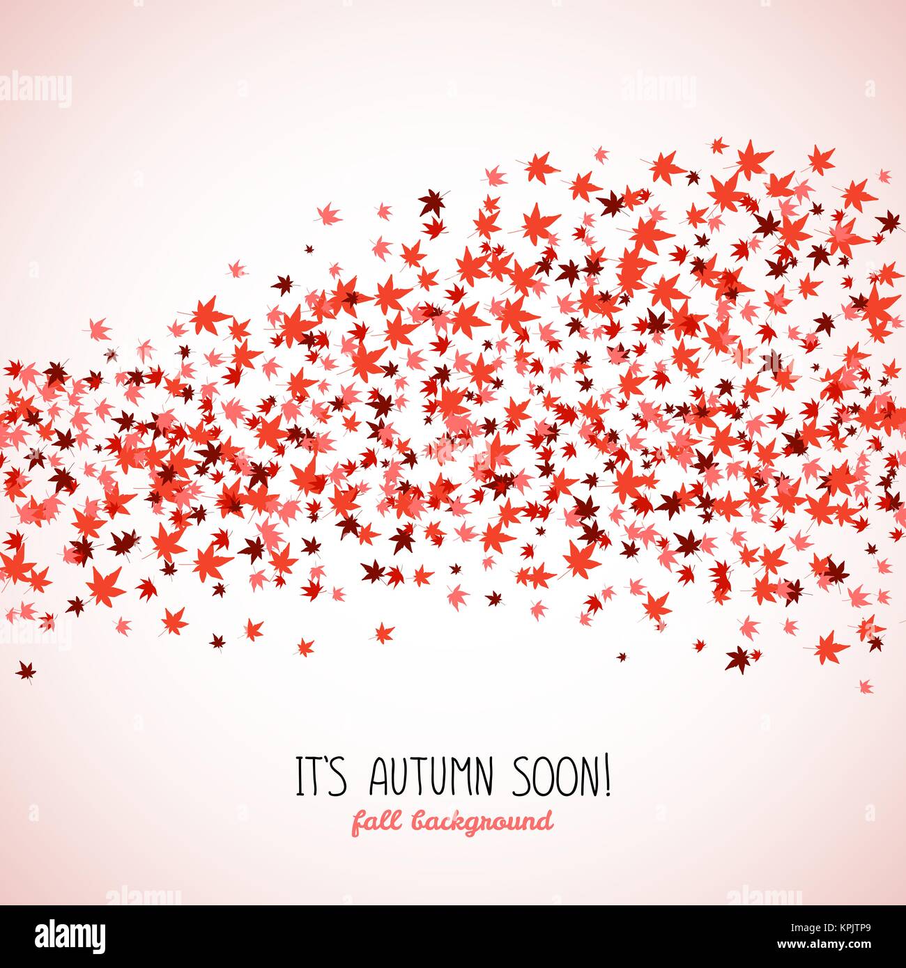 Wavy band made from red maple leaves. Fall is coming. Copy space ...