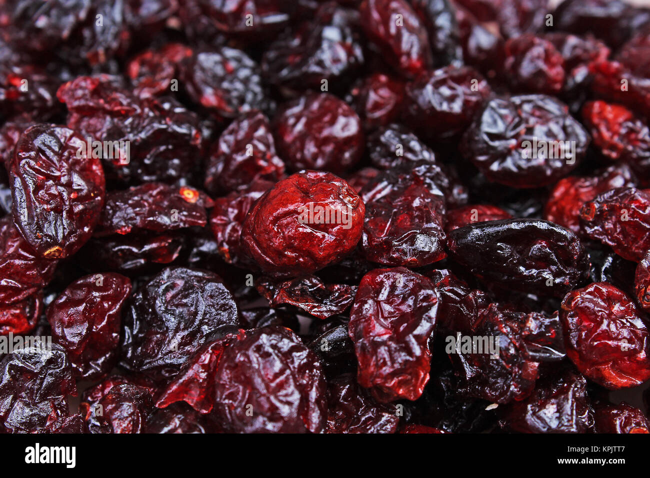 Cranberry raisins. Red whole dried raisins as background. Red cranberry ...