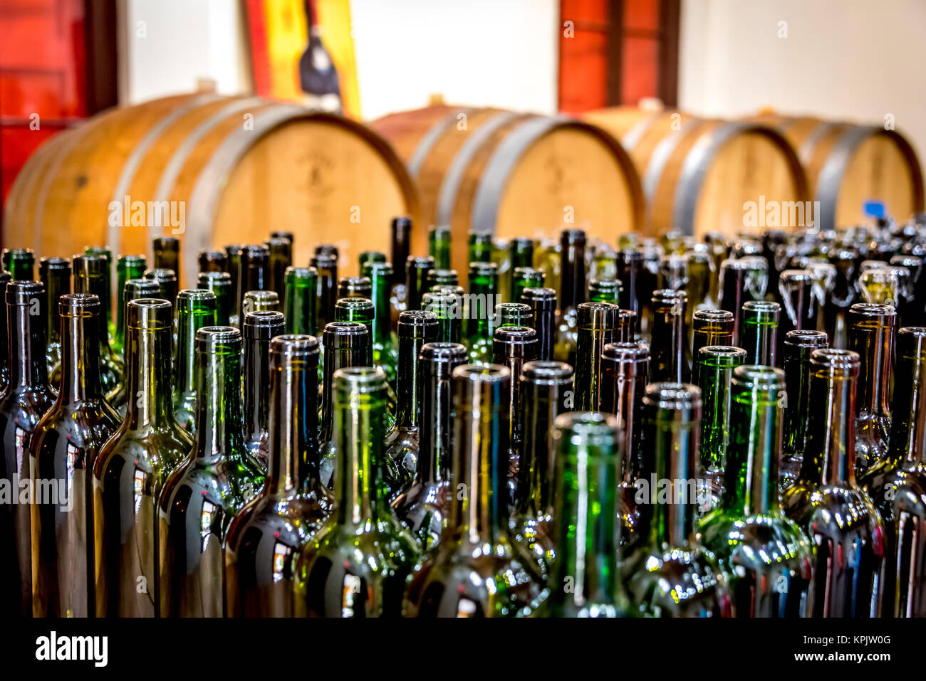 Rows of green wine bottles in front of wine barrels at Bahama Barrels ...