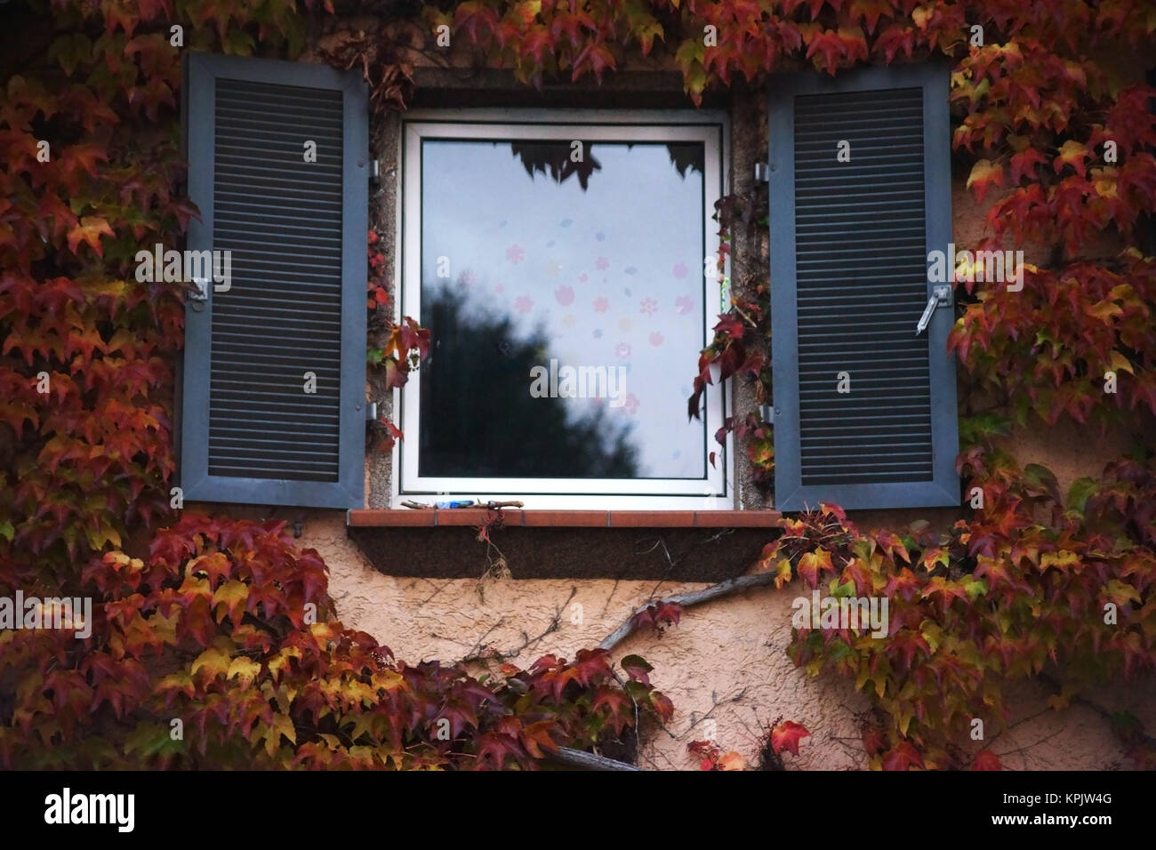 Surrounded by flaps hi-res stock photography and images - Alamy